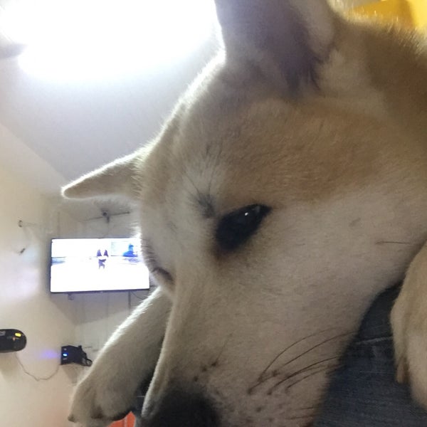 Vetimagem - Veterinarian in Belem