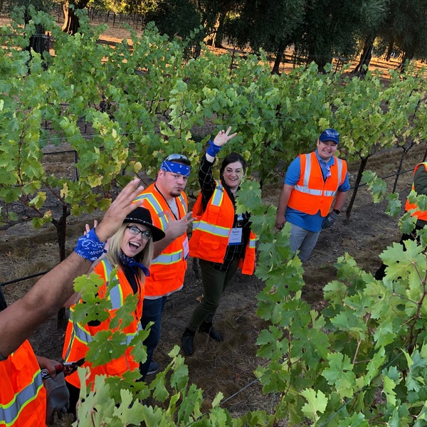 Gamble Family Vineyards - 4 tips from 84 visitors