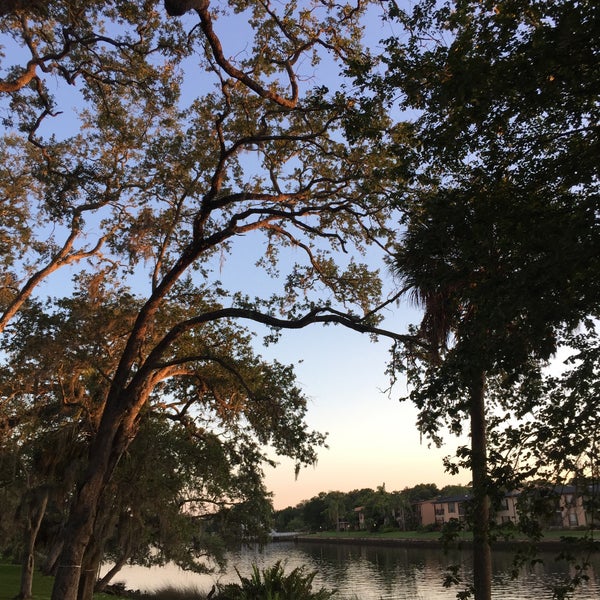 Ignacio Haya Linear Park - South Seminole Heights - 40 visitors
