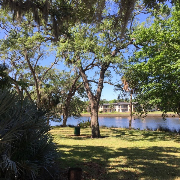 Ignacio Haya Linear Park - South Seminole Heights - 40 visitors