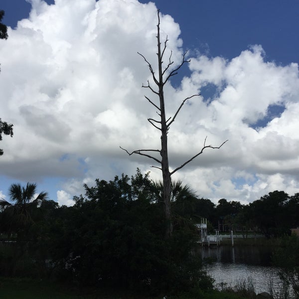 Ignacio Haya Linear Park - South Seminole Heights - 40 visitors