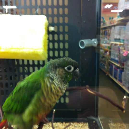 PetSmart - Pet Supplies Store