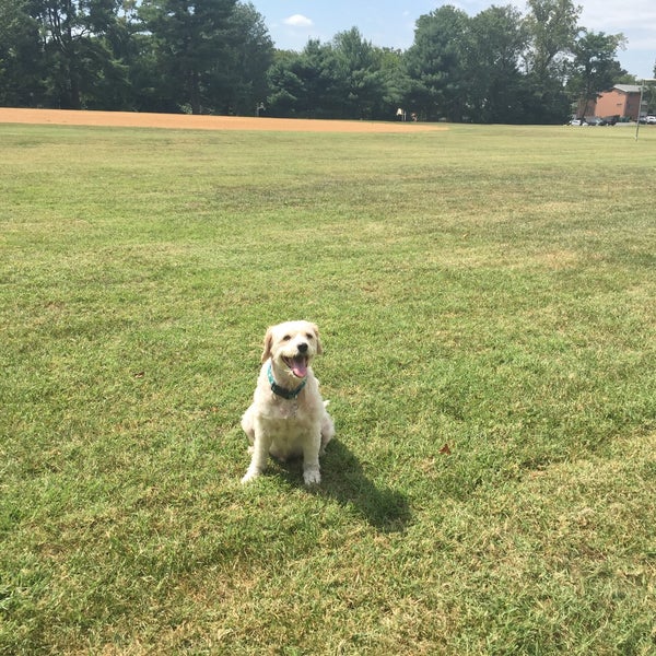 Nolte Local Park - 2 tips