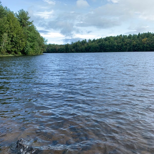 D.A.R. State Forest - 2 tips from 173 visitors