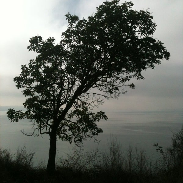 Magnolia Boulevard Viewpoint - Scenic Lookout in Seattle
