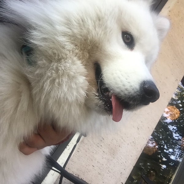 Ruub 030 (Now Closed) - Dorćol - 30 tips