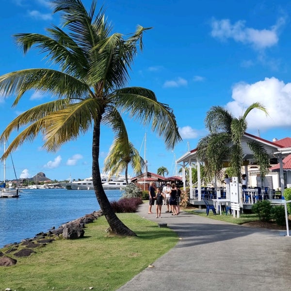 Rodney Bay Marina - Harbor or Marina