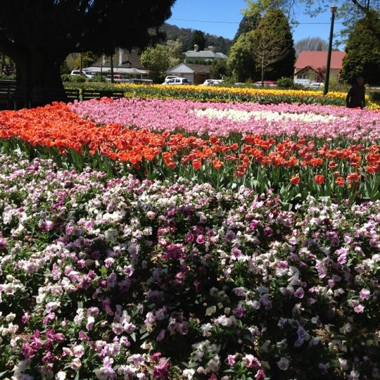 Bowral - Bowral, NSW