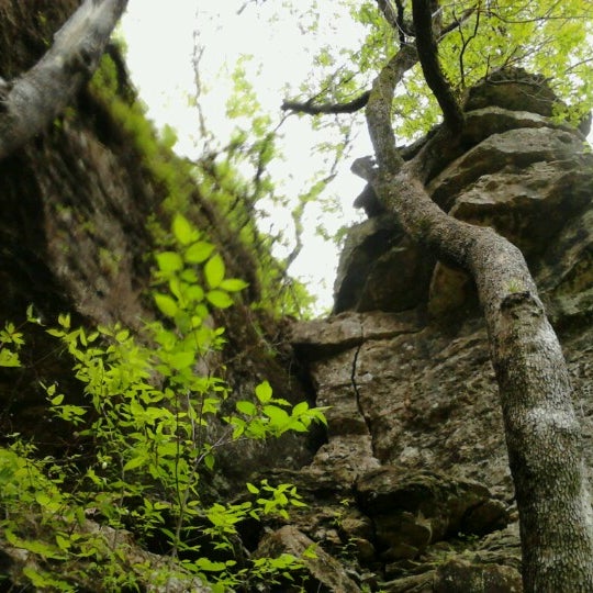 Redbud Valley Nature Preserve - 7 tips