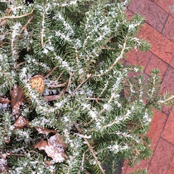 Times Square Brewery - Theater District - 0 tips