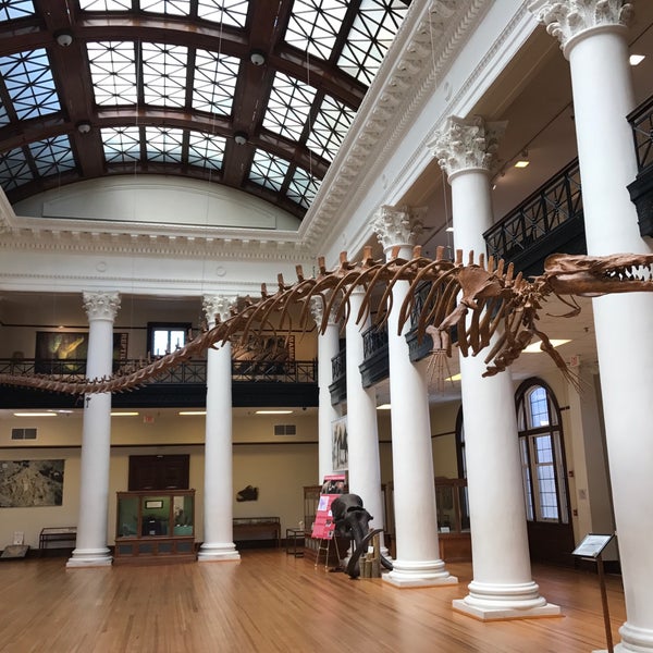 The Alabama Museum of Natural History - 4 tips from 108 visitors