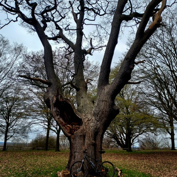 Marc Bolan Memorial - Barnes, Greater London