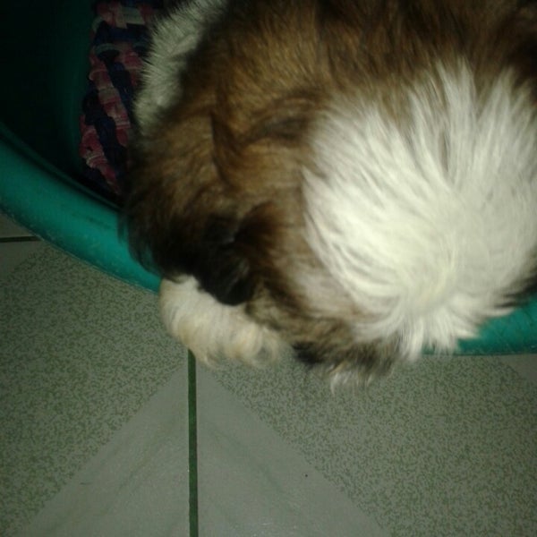 TeleTech - Barangay 76 - Harbor Dr, Mall of Asia Complex