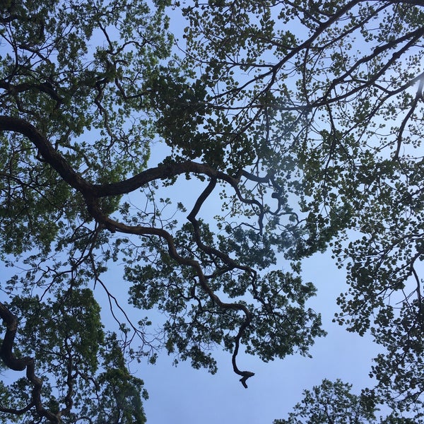 Photos at Palmiste Park - Park in Palmiste