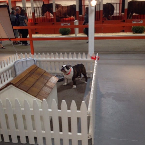 The Big E Circus Spectacular - Circus in West Springfield