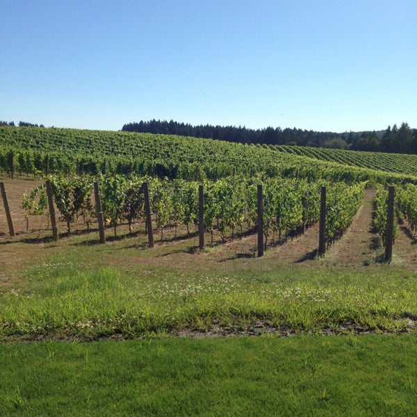 Trisaetum Winery - Newberg, OR