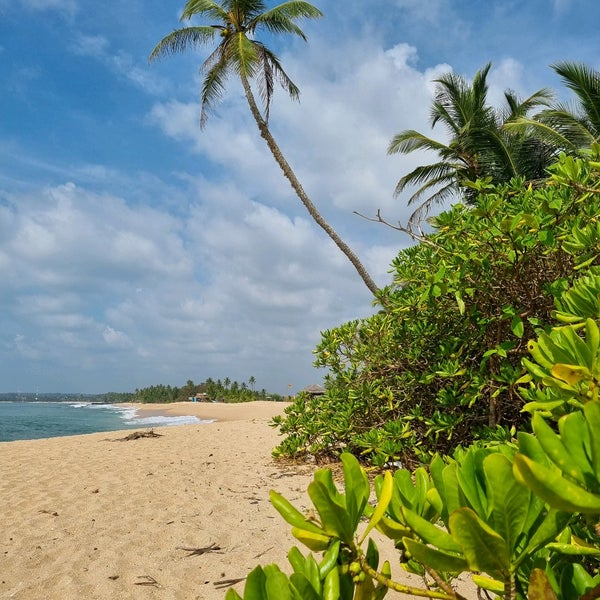 Tangalle Beach - 36 tips