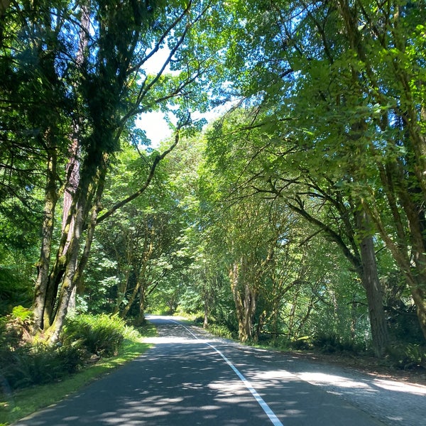 Five Mile Drive - Hiking Trail in Ruston