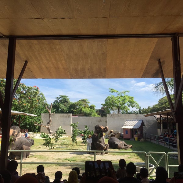 Elephant Show Podium @ A Famosa Resort - 1 tip