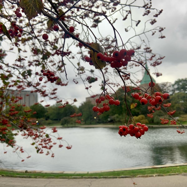 Photos at Wade Park Lagoon - University Circle - Cleveland, OH