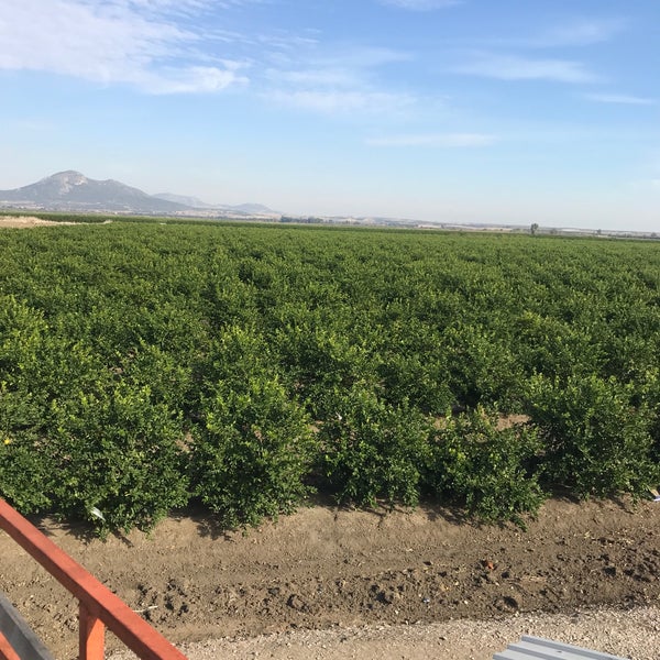 Akdam Köyü - 3 tips from 120 visitors