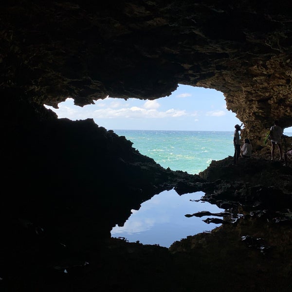 Animal Flower Cave - Cave