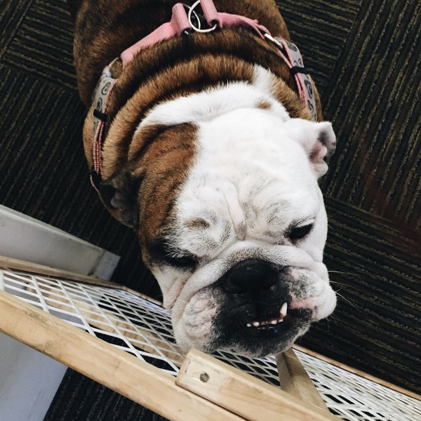 The Ticket Source - Miscellaneous Store