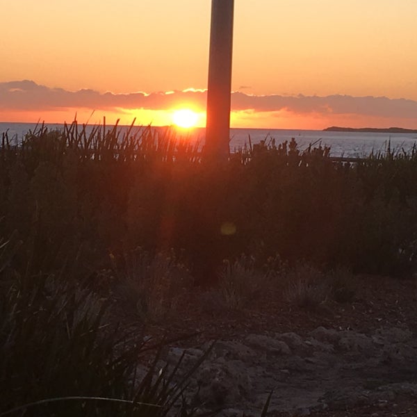 Waikiki Foreshore - Beach