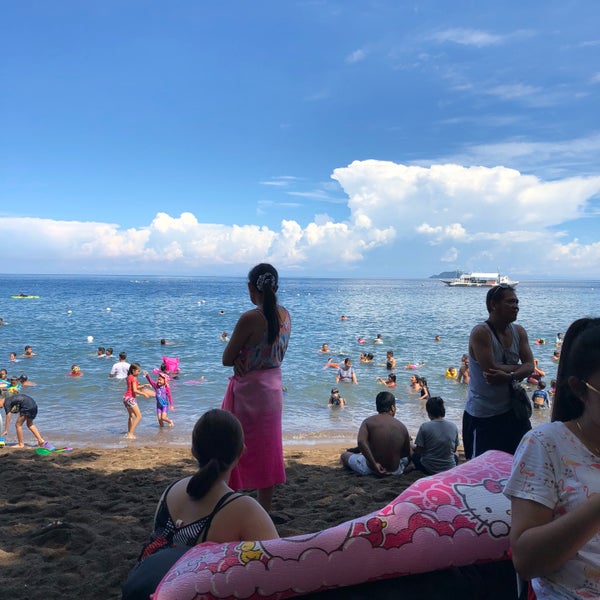 Dauin Marine Reserve and Sanctuary - Nature Preserve