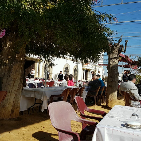 Ventorrillo Canario - 23 tips