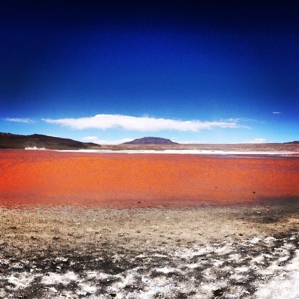 Laguna Colorada