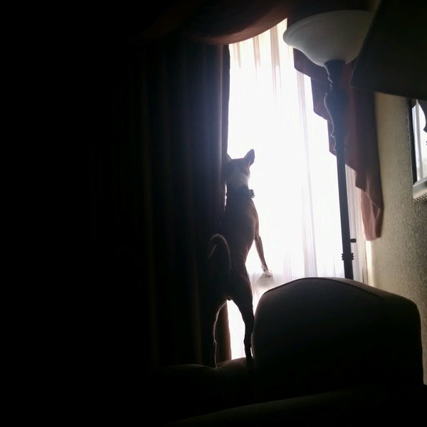 Photos at Red Lion Hotel Kelso Longview - 5 tips from 234 visitors