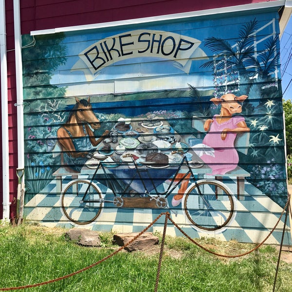 Mendon Cyclesmith - Bicycle Store in Ionia