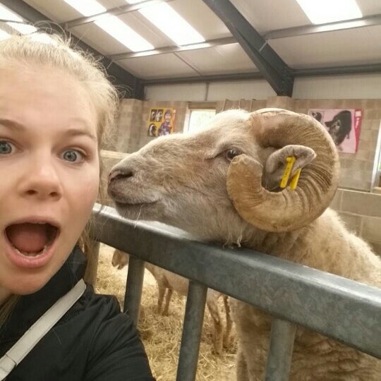 Blackpool Zoo Play Barn - Playground in Blackpool