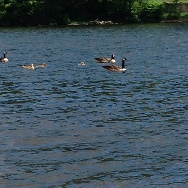 Sugden Reservoir - 18-36 Ledge Ave