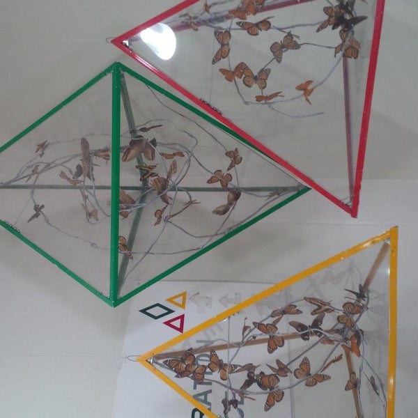 Assuria NV - Paramaribo, Distrikt Paramaribo