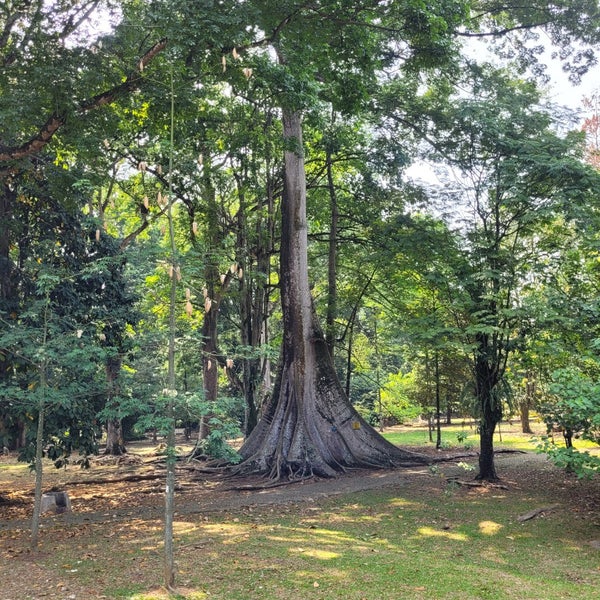 Kebun Raya Bogor - 184 tips from 18375 visitors