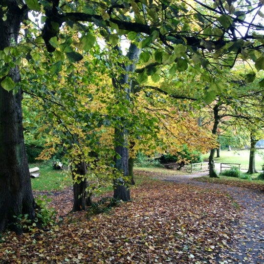 Cotteridge Park - 1 tip