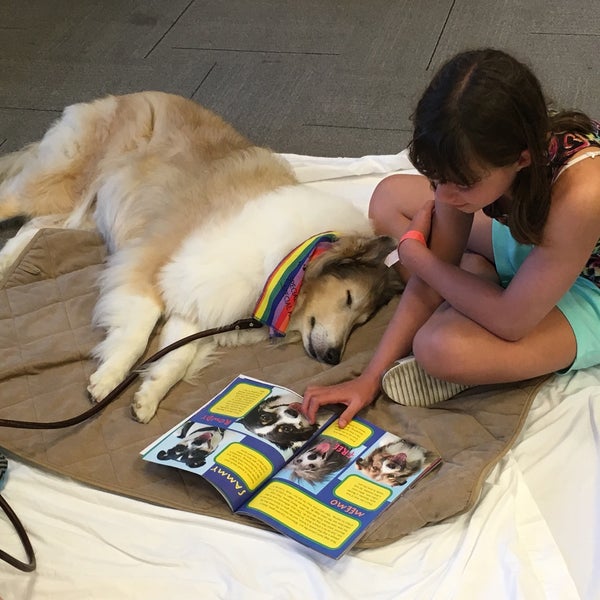 Cook Memorial Public Library District - Aspen Drive - Library in Vernon ...