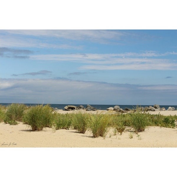 Sandy Hook National Gateway Park, NJ - Beach in Sandy Hook