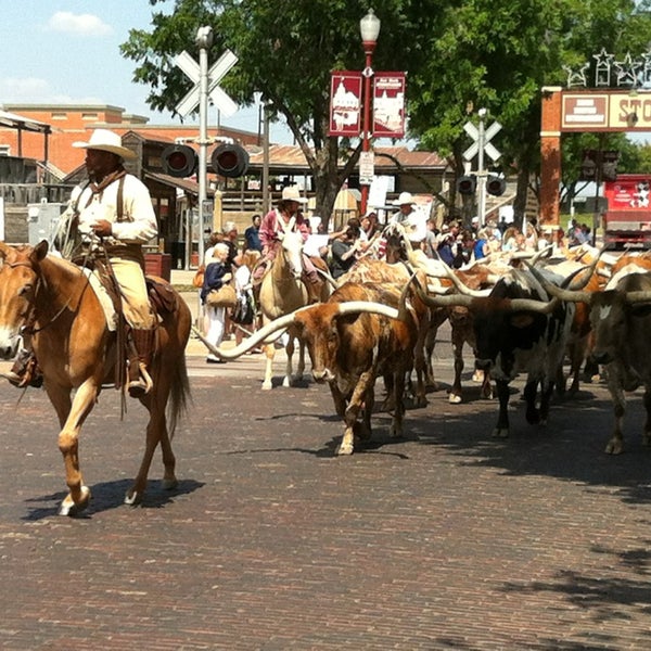 Stockyard Cattle Drive - 18 tips