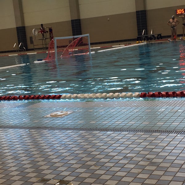 Natatorium - Swimming Pool in Houston