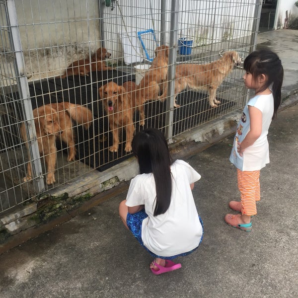 Ericsson Pet Farm - Animal Shelter