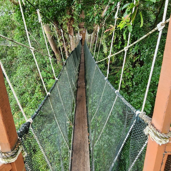 Canopy Walkway - Ranau, negeri sabah