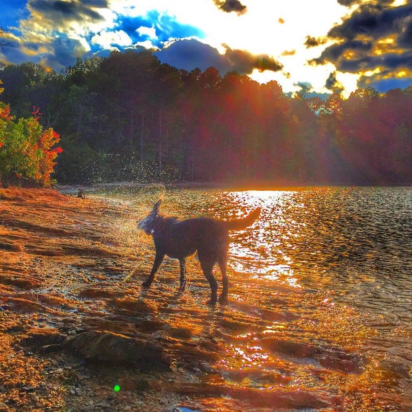 Photos at Blue Jay Point County Park - 6 tips