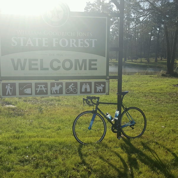 W G Jones State Forest - Park in Conroe