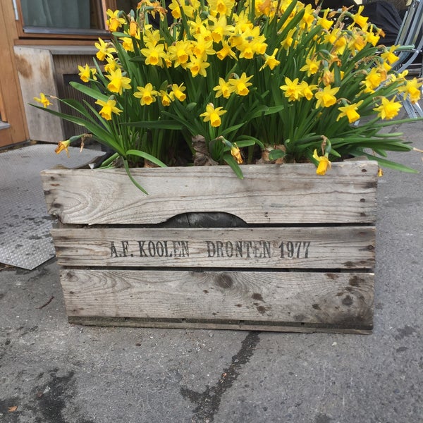 Photos at Vespa & Humla - Rodeløkka - Oslo, Oslo