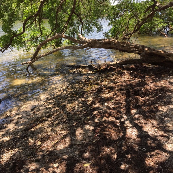 Big Edwards Island - Sarasota, FL