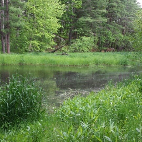 Crooked Springs Reservation - North Chelmsford, MA