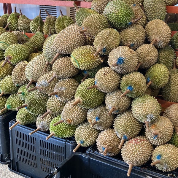 DKING SS2 帝一榴 - 1 tip